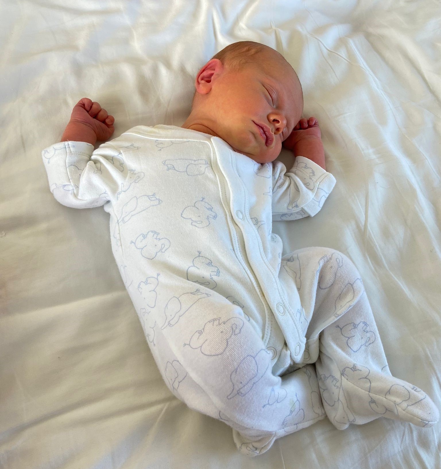 Our new team member has arrived - Attinger Jack